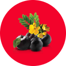 Prunelax: Laxative for Overnight Relief from Occasional Constipation